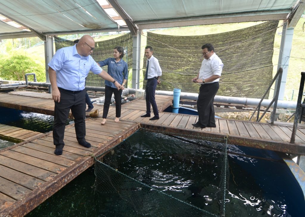 Lawatan Kerja YBM MOSTI Ke Institut Penyelidikan Marin Borneo, UMS ...
