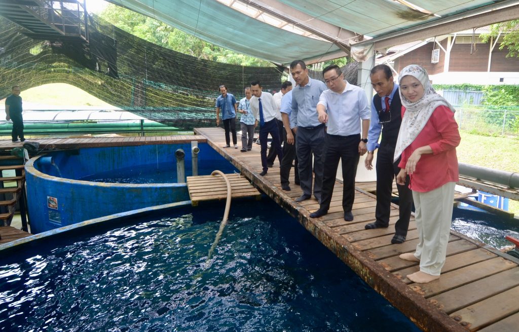 Lawatan Kerja YBM MOSTI Ke Institut Penyelidikan Marin Borneo, UMS ...